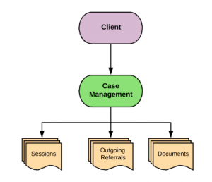 Case Management – Community Data Solutions