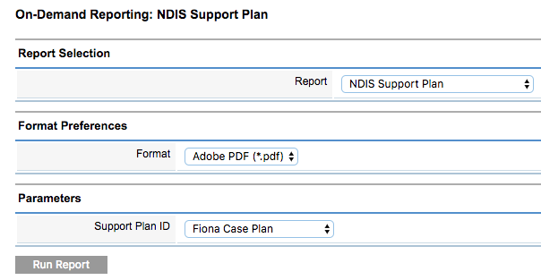 NDIS Reports – Support Plan