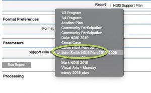 NDIS Reports – Support Plan – Community Data Solutions