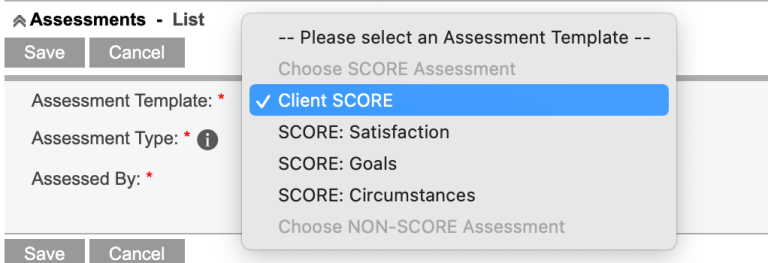 DSS SCORE Assessment for an Individual – Community Data Solutions